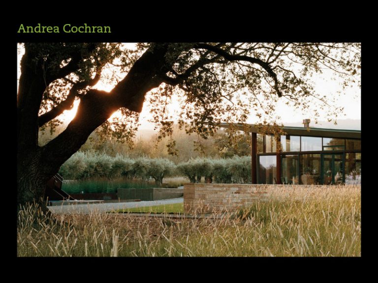 Top 10 Naturalistic Planting Landscape Designers - Ian Barker Gardens