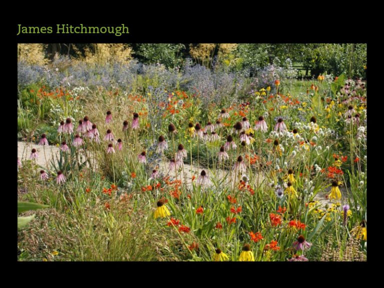 Top 10 Naturalistic Planting Landscape Designers - Ian Barker Gardens
