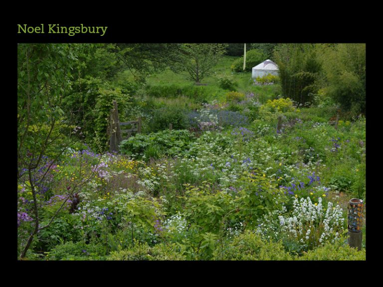 Top 10 Naturalistic Planting Landscape Designers - Ian Barker Gardens