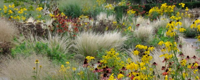 Cassian Schmidt - International Garden Designer - Ian Barker Gardens
