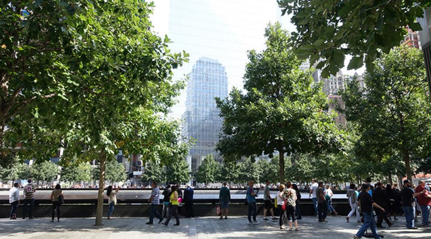 Peter Walker - International Garden Designer - Ian Barker Gardens