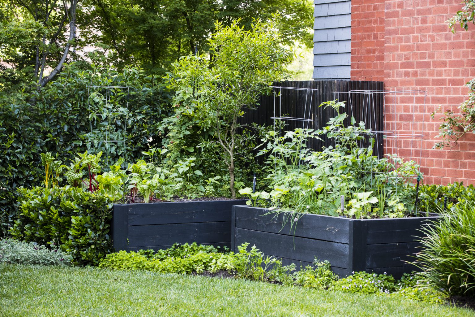 How to create an edible garden - Ian Barker Gardens