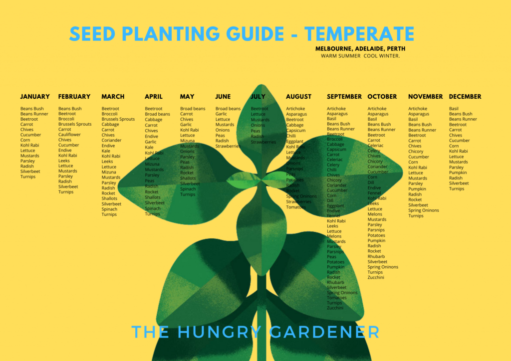 How to create an edible garden - Ian Barker Gardens