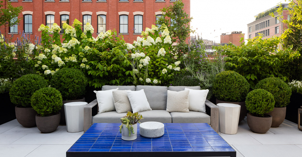 Harrison Green - International Garden Designer - Ian Barker Gardens