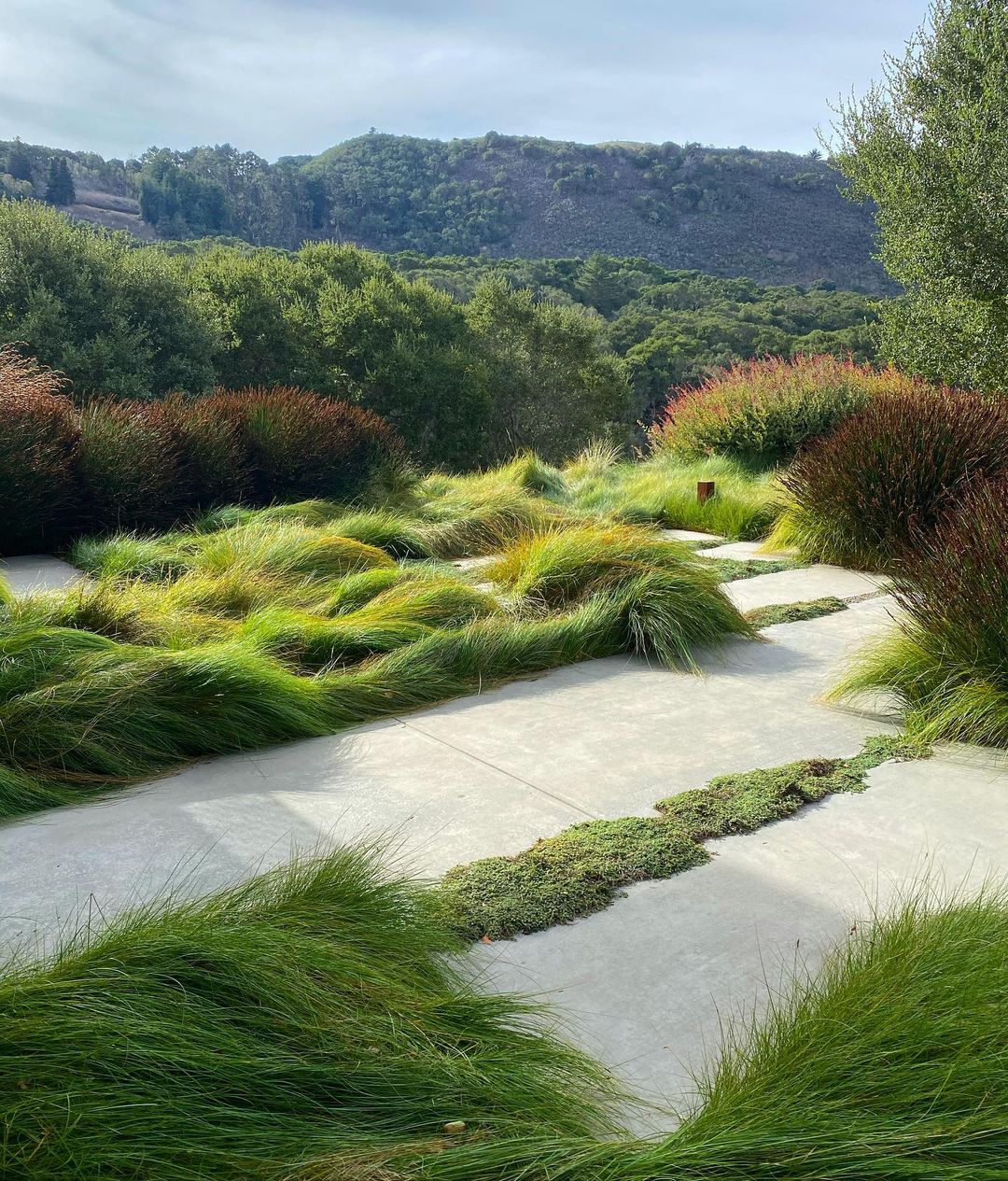 Ground Studio - International Garden Designer - Ian Barker Gardens