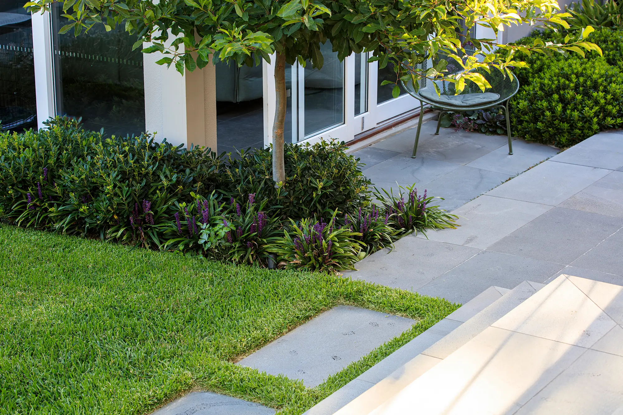 Hawthorn Rose - Ian Barker Gardens