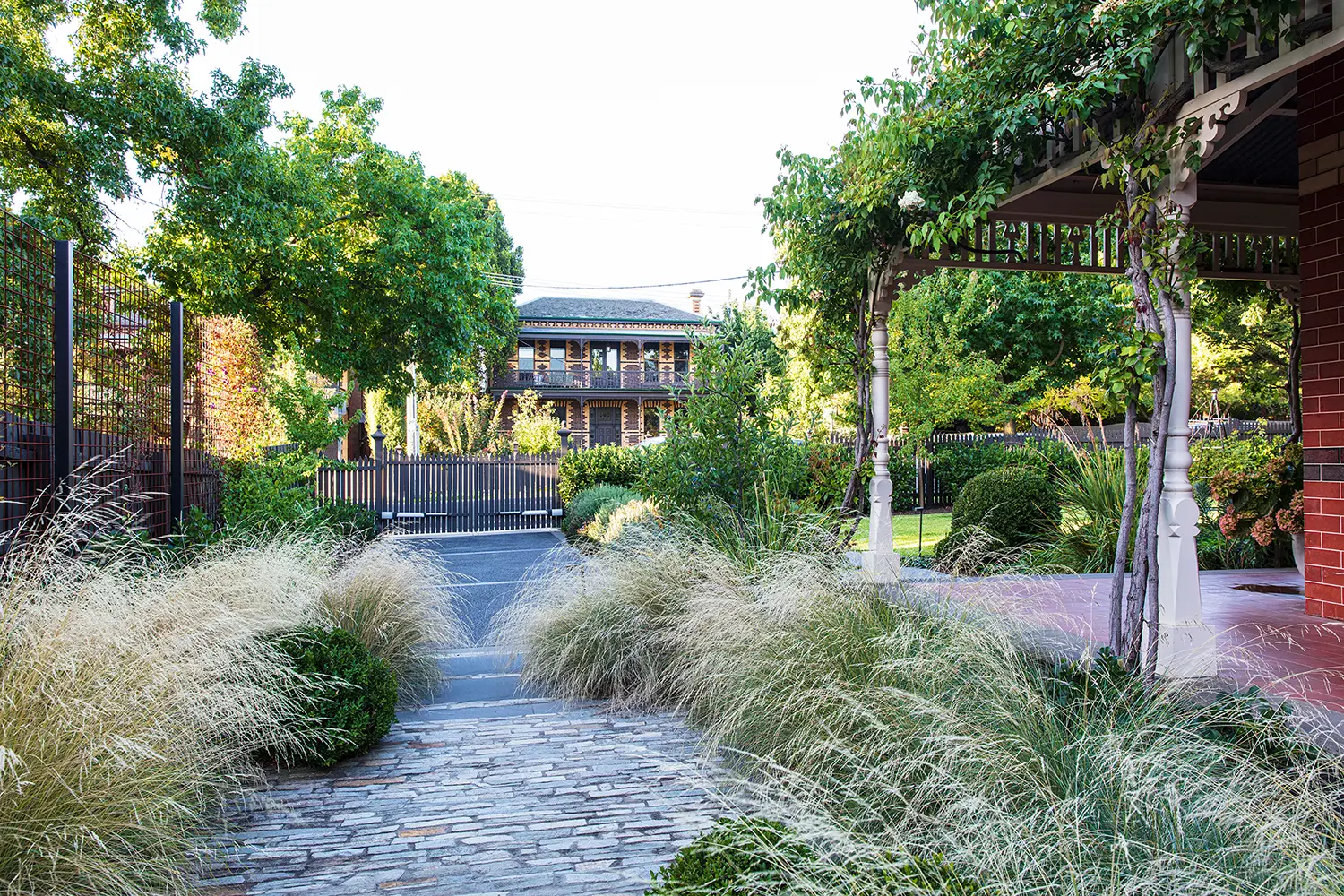 Hawthorn Rose - Ian Barker Gardens